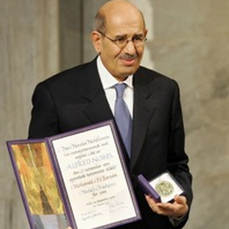 Egyptian Chronicles: ElBaradei Speaks And The Regime Does Not Like It